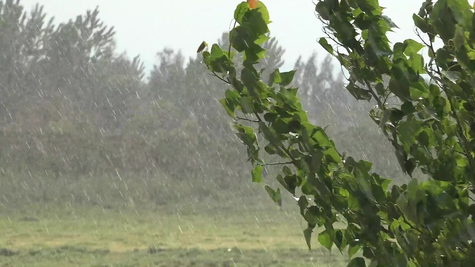 Windstorm Power Outages Impacting Comcast Service | Comcast Washington